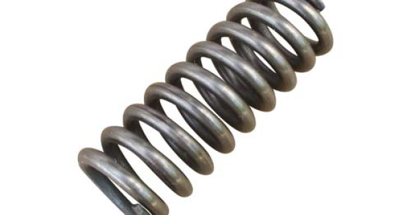 Power Steering Worm Housing Spring - HamiltonBobs